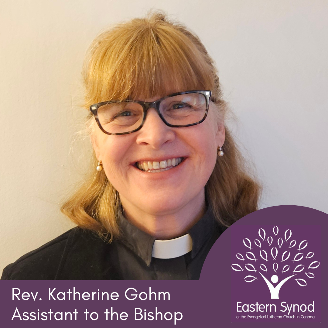 Rev. Katherine Gohm To Serve As Assistant To The Bishop – Eastern Synod ...